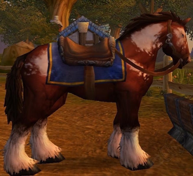 Schecke - NPC - WotLK Classic