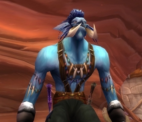 Ceremonial Leather Harness - Item - WotLK Classic