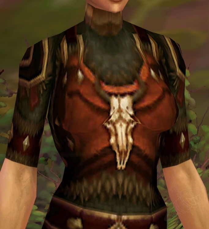 Knochenpanzer der grimmigen Visionen - Gegenstand - World of Warcraft