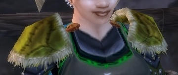 Palm Frond Mantle - Item - World of Warcraft