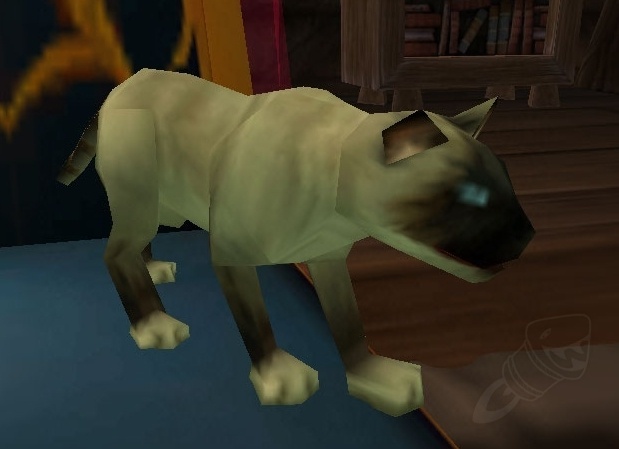 Cat Specimen - NPC - WotLK Classic
