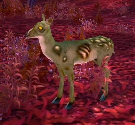 Infected Deer - NPC - World of Warcraft