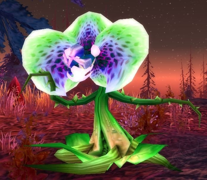 Azotador cardo - PNJ - World of Warcraft