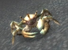 Reef Crawler - NPC - Classic World of Warcraft