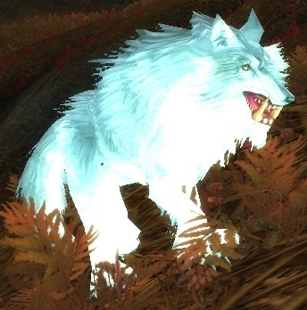 Death Howl - NPC - World of Warcraft