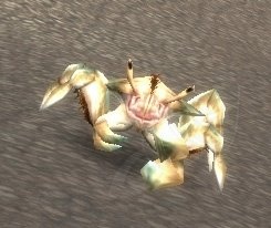 Raging Reef Crawler - NPC - Classic World of Warcraft