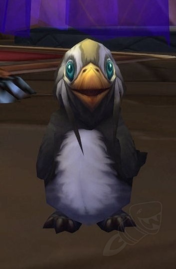 Penguin Egg - Item - World of Warcraft