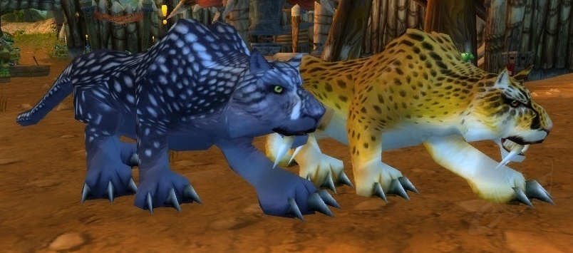 Cat - Hunter Pet - WotLK Classic
