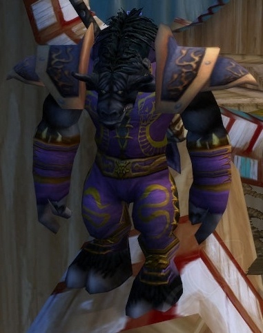 Exceptional Stormshroud Shoulders - Item - WotLK Classic