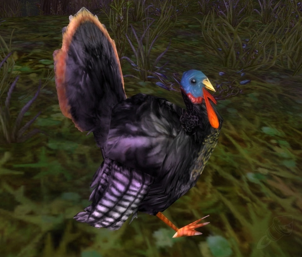 Pavo salvaje - PNJ - World of Warcraft