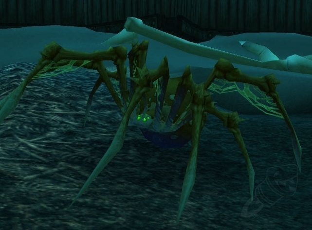 Araña osaria - PNJ - World of Warcraft