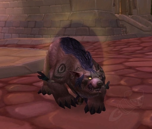 The Burrower's Shell - Item - WotLK Classic