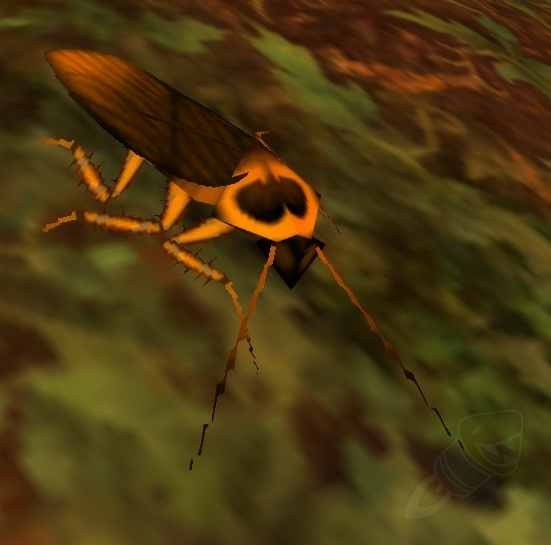 Cockroach - Item - WotLK Classic