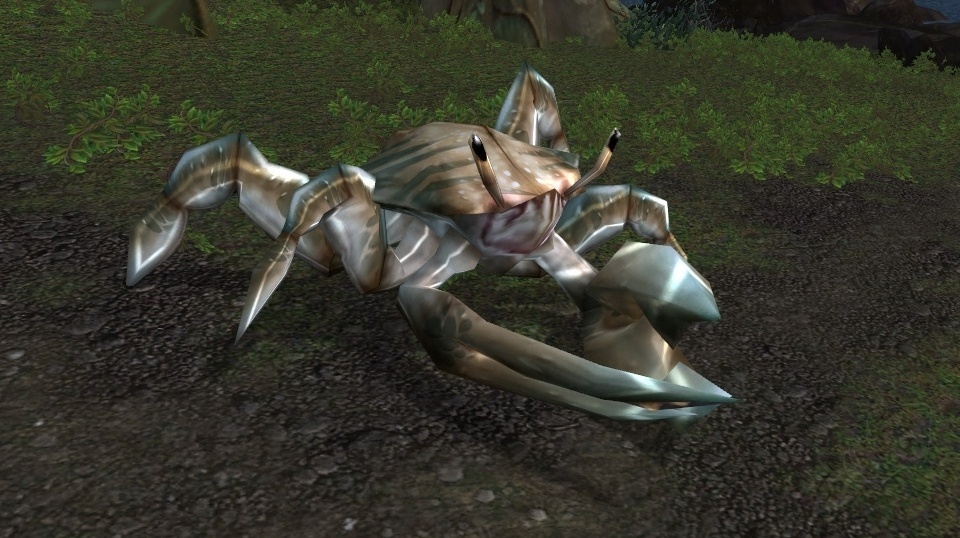 Fjord Crawler - NPC - WotLK Classic