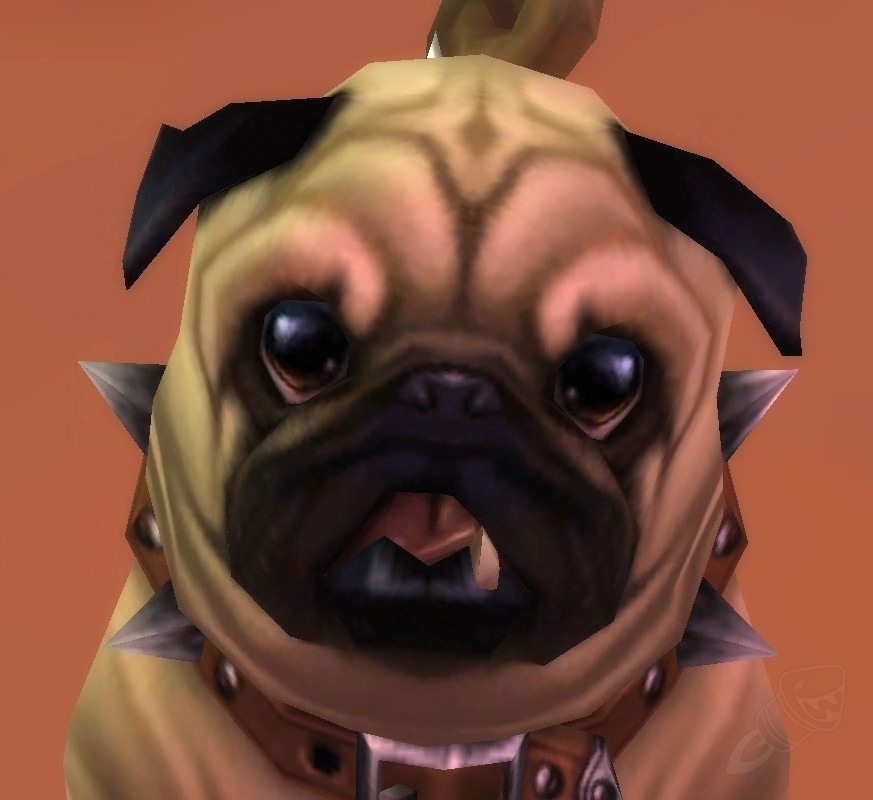 Perrito faldero - Objeto - World of Warcraft