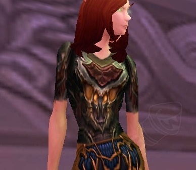 Heroes' Cryptstalker Tunic - Item - WotLK Classic