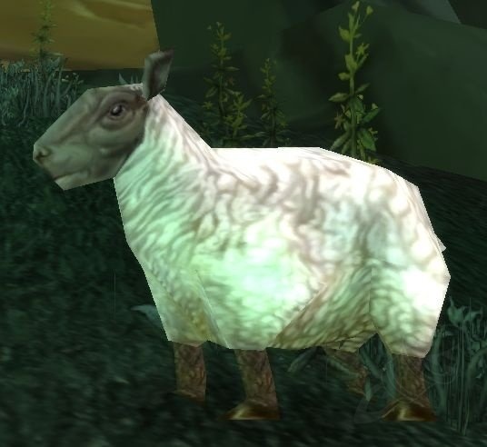Ewe - NPC - WotLK Classic