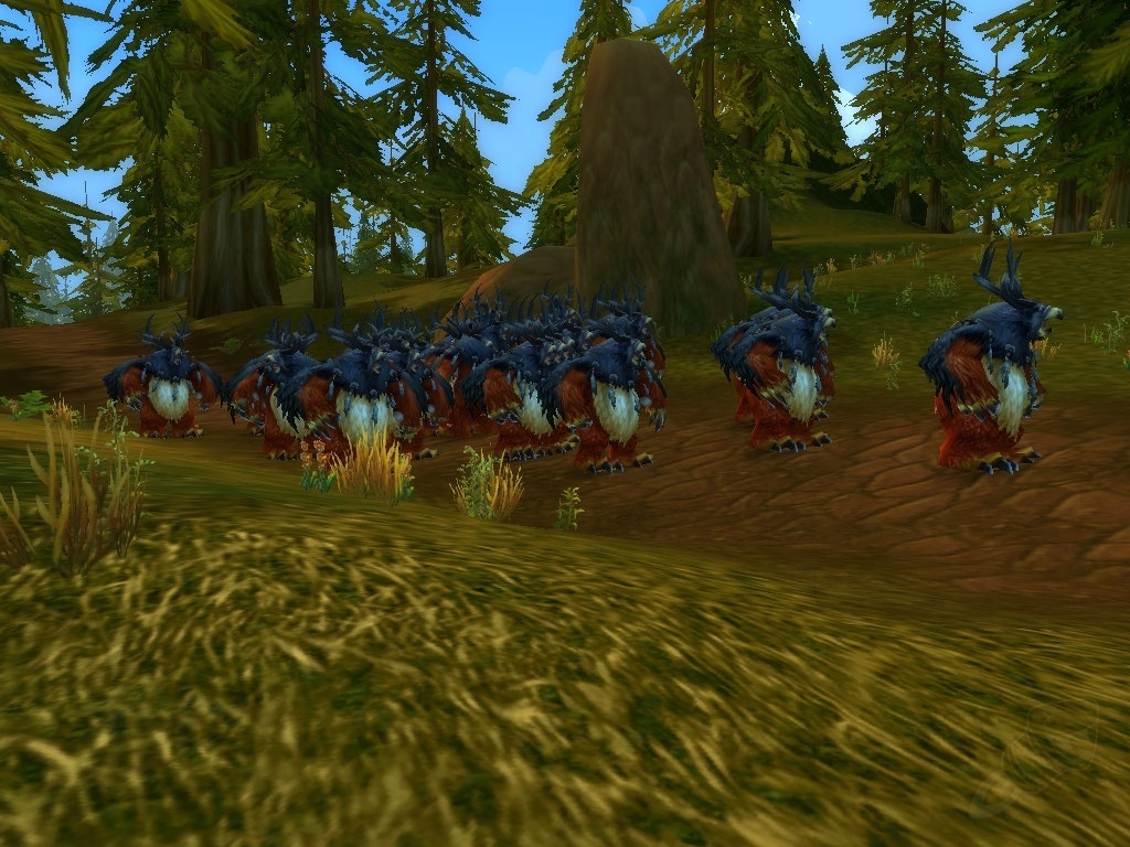 Marauding Owlbeast - NPC - WotLK Classic