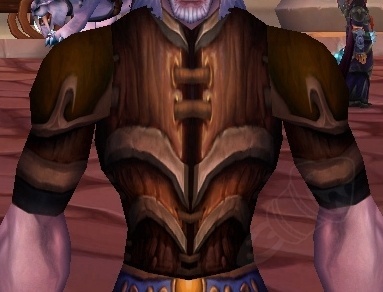 Ahn'Kahar Blood Hunter's Tunic - Item - World of Warcraft