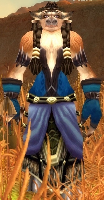 La llamada del agua - Misión - World of Warcraft