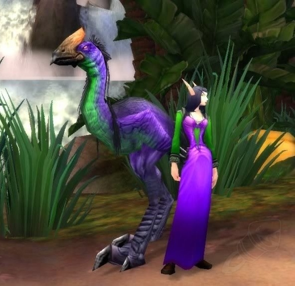 길 잃은 토란셰 - NPC - 리분 클래식