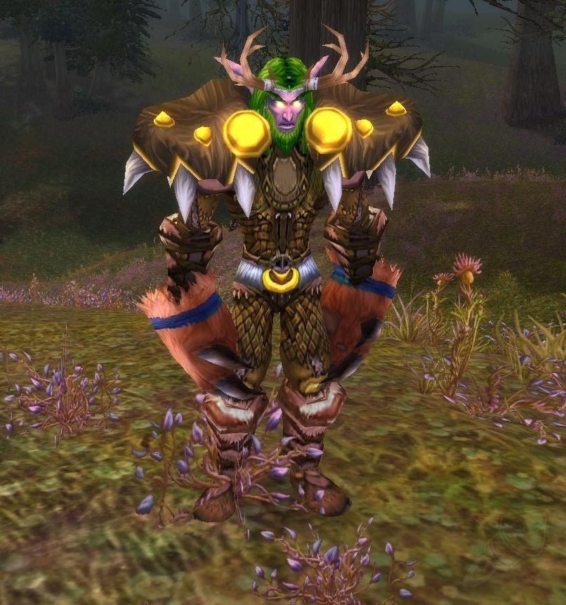 Broll Manto de Oso - PNJ - World of Warcraft