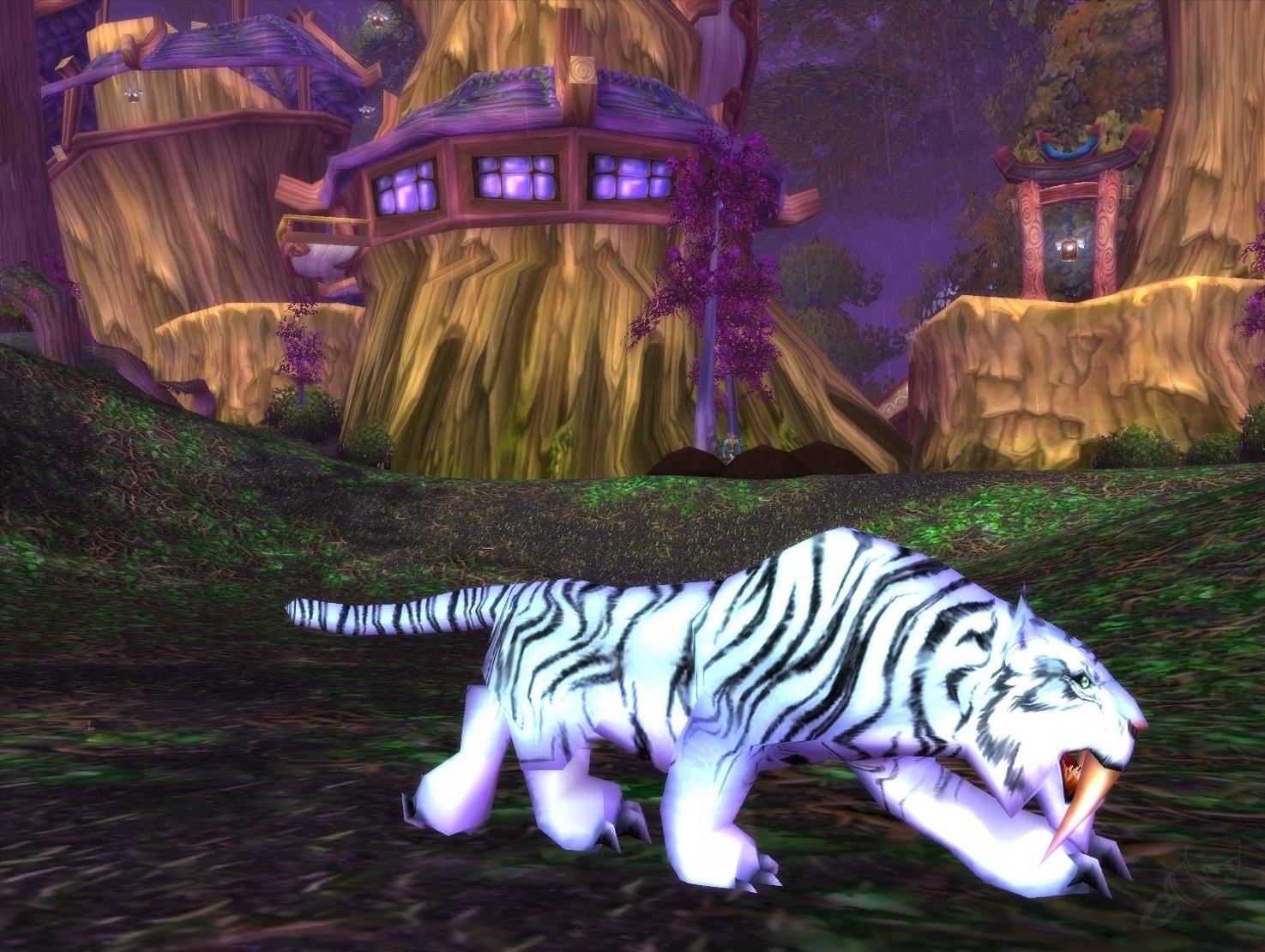 Frostsaber Companion - NPC - WotLK Classic