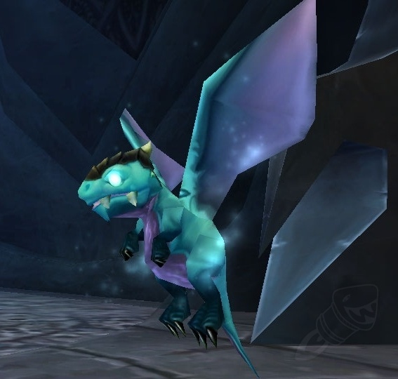 Collector's Edition: Netherwhelp - Achievement - World of Warcraft