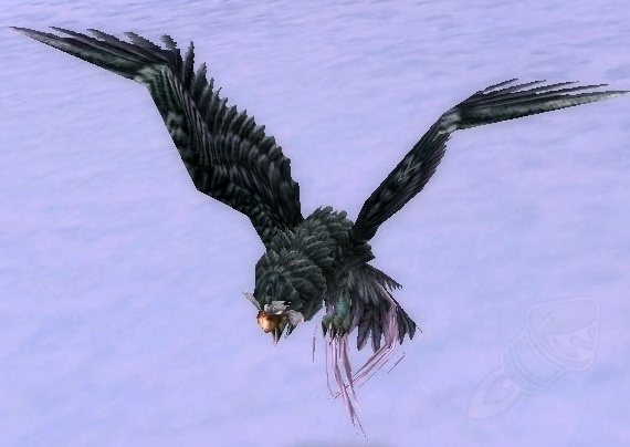 Hawk Owl - Item - WotLK Classic