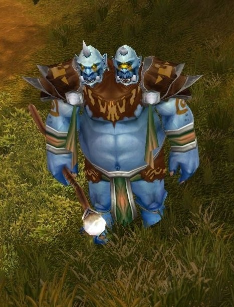 Warmaul Warlock - NPC - WotLK Classic