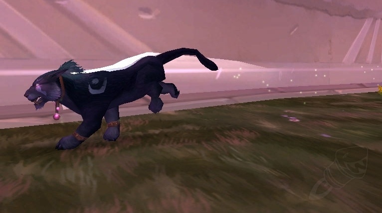 Dash - Spell - Cataclysm Classic