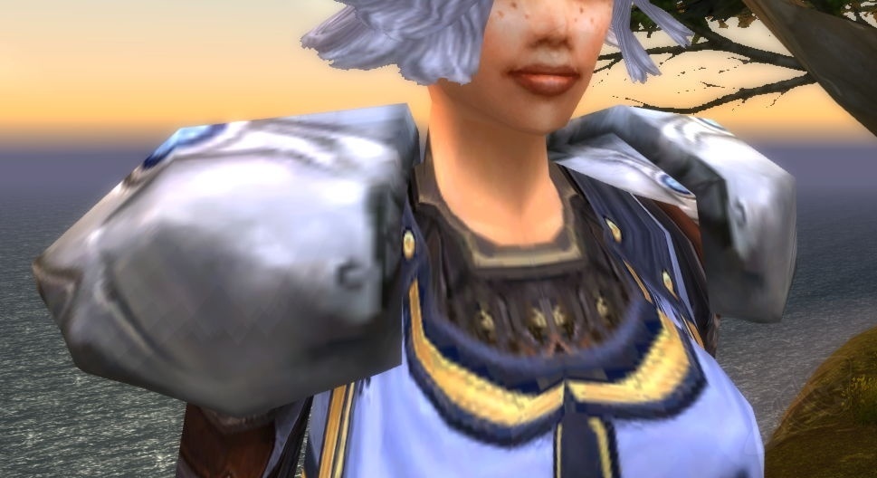 Field Plate Pauldrons - Item - World of Warcraft