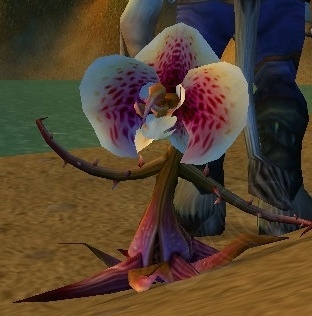 Ammen Vale Lashling - Item - Cataclysm Classic