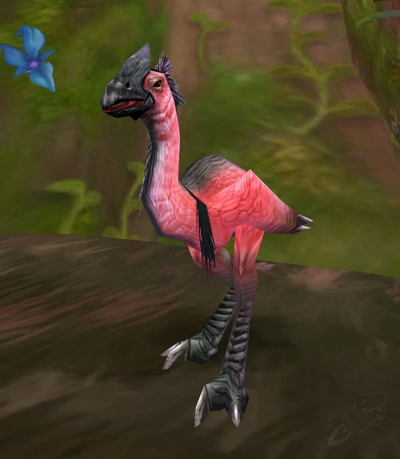 Mulgore Hatchling - Item - World of Warcraft