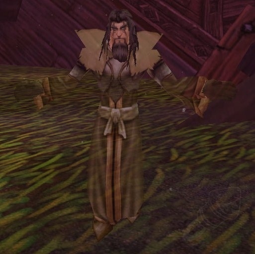 Bloodcursed Voyager - NPC - WotLK Classic