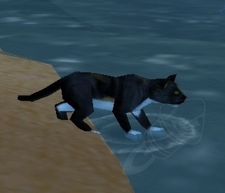 Calico Cat - Spell - WotLK Classic