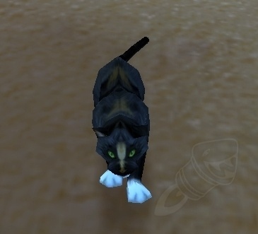 Calico Cat - Item - WotLK Classic