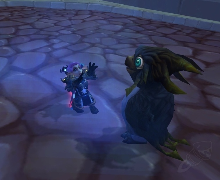 Nurtured Penguin Egg - Item - Wrath Classic