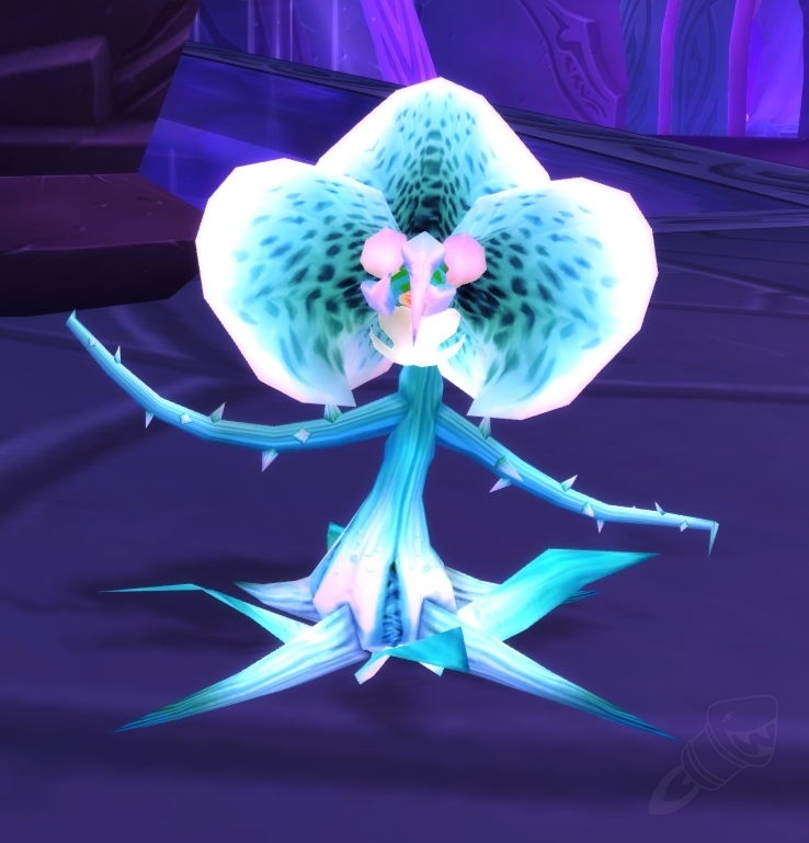White Seedling - NPC - WotLK Classic