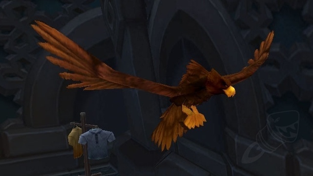Falchetto - PNG - World of Warcraft