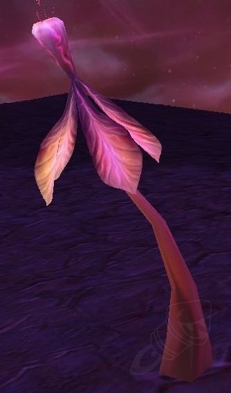 Netherbloom - Object - TBC Classic