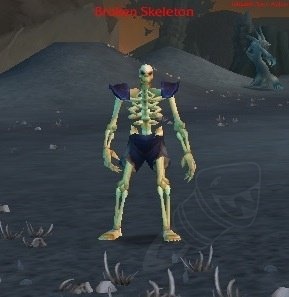 Broken Skeleton - NPC - WotLK Classic