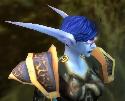 Exceptional Stormshroud Shoulders - Item - World of Warcraft