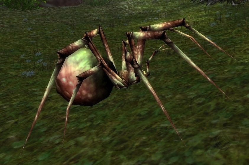 Northridge Spider - NPC - World of Warcraft