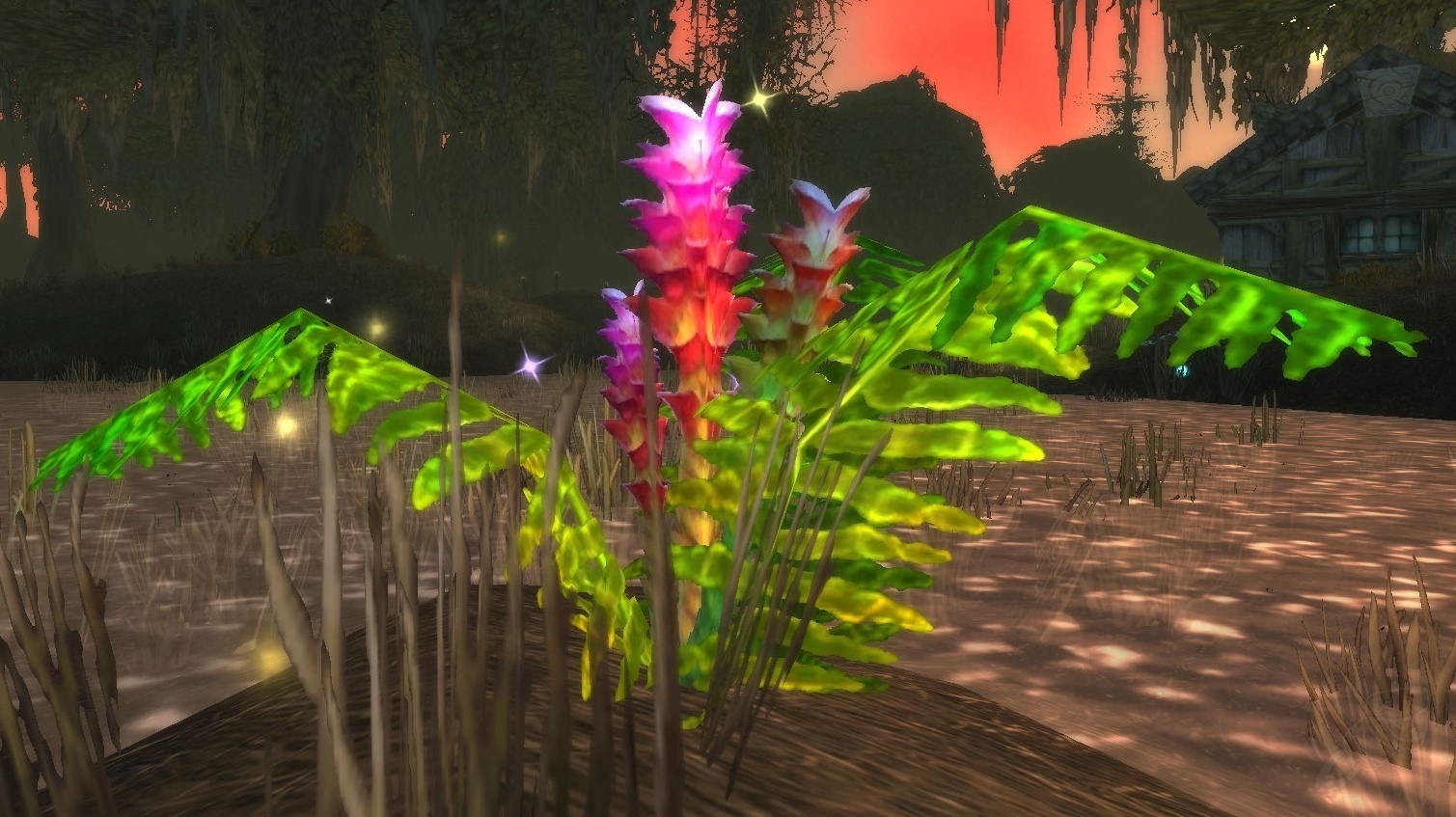 The Witch's Bane - Quest - World of Warcraft