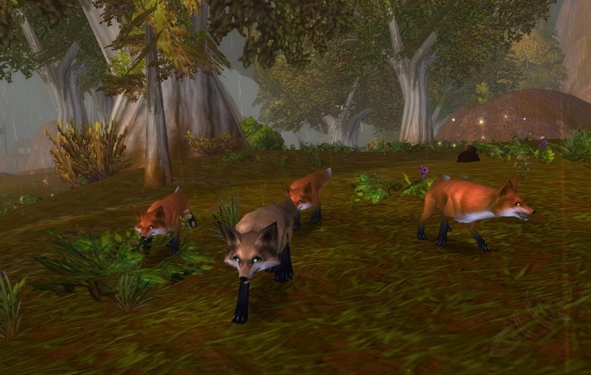 Redridge Fox Kit - NPC - Cataclysm Classic