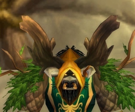 Stormrage Cover - Item - Cataclysm Classic