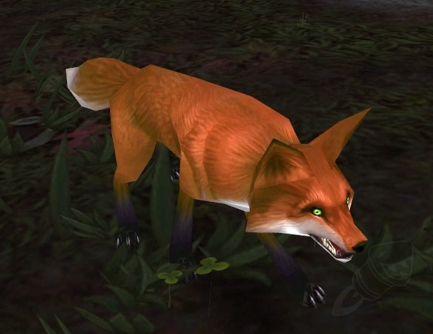 Fox - NPC - World of Warcraft