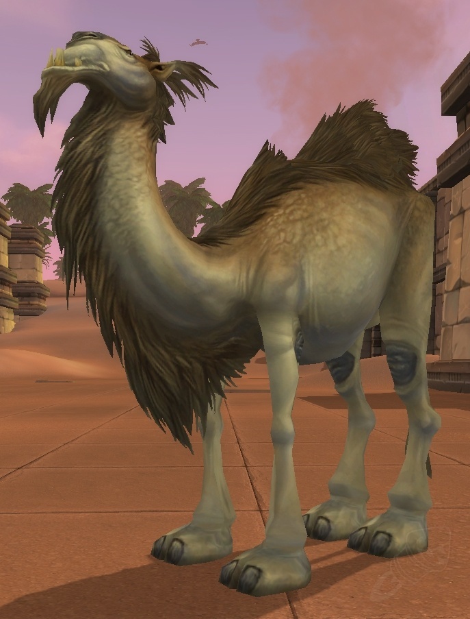 Lady Humps Npc World Of Warcraft