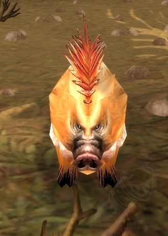 Docile Island Boar - NPC - World of Warcraft